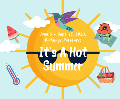Summer 2023: It’s a hot one! – Buddings daycare